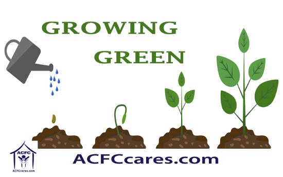Growing Green Kit - ACFC
